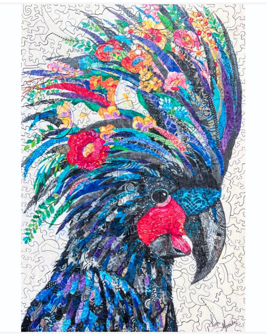 Black Cockatoo – Inner Room Bribie